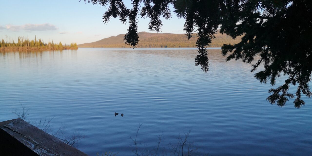 Tatuk Lake Cabin 6 – lake | DK Adventures at Tatuk Lake